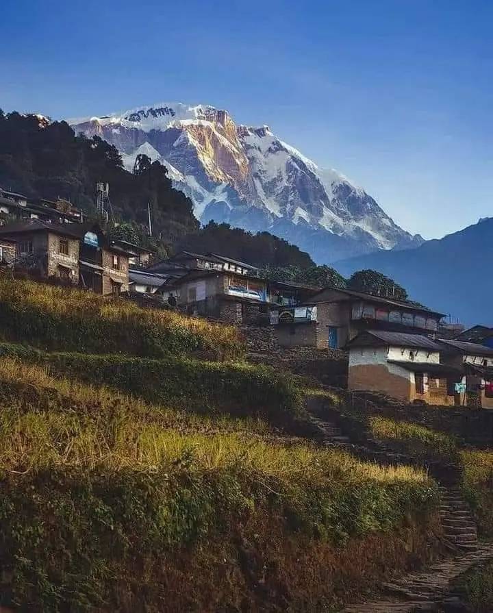 Sikles Trek - Package, Itinerary & Cost by Graceful Adventure Travel